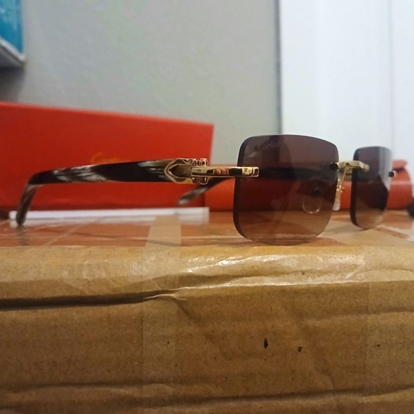 Cartier | Accessories | Cartier Buffalo Horn Sunglasses Ct046s | Poshmark